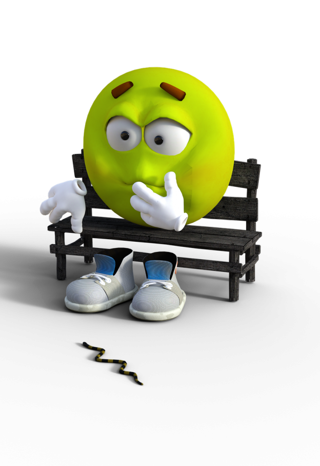 smiley-2126029_1280 - Heike Führ